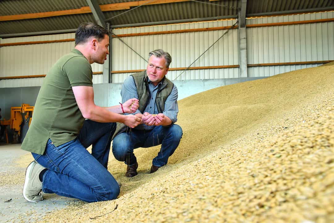 Eine Analyse zum aktuellen Getreidemarkt und den Folgen von Russlands ...