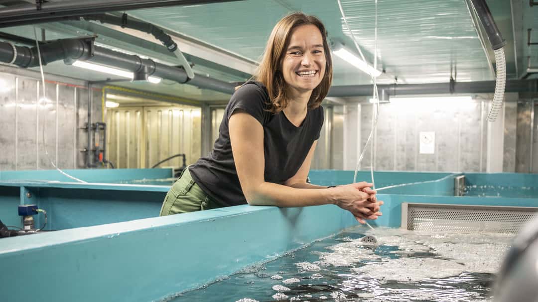 Fischzucht im Container – Landwirtin entdeckt neuen Betriebszweig für ...