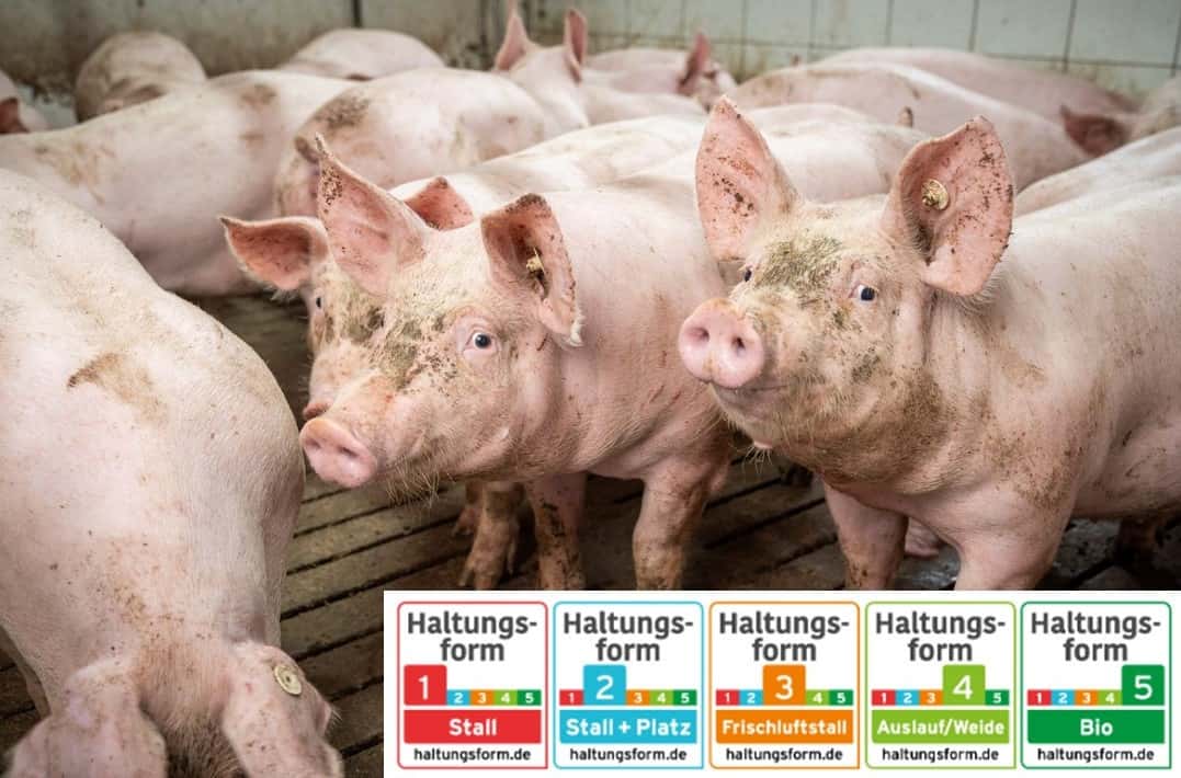 Haltungsform-Kennzeichnung jetzt fünfstufig