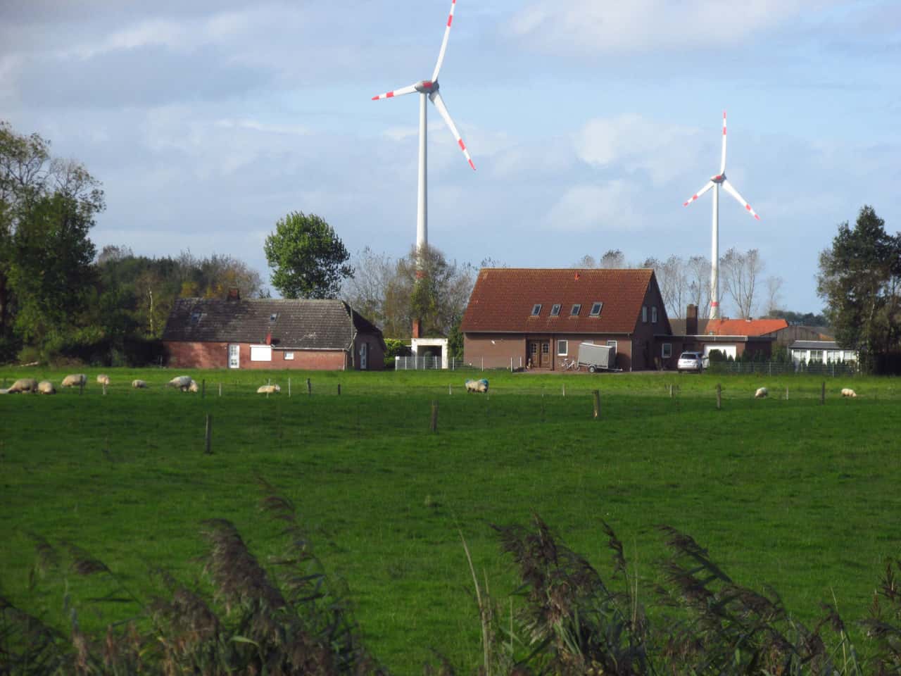 Schleswig-Holstein will 1000 m Abstand | top agrar