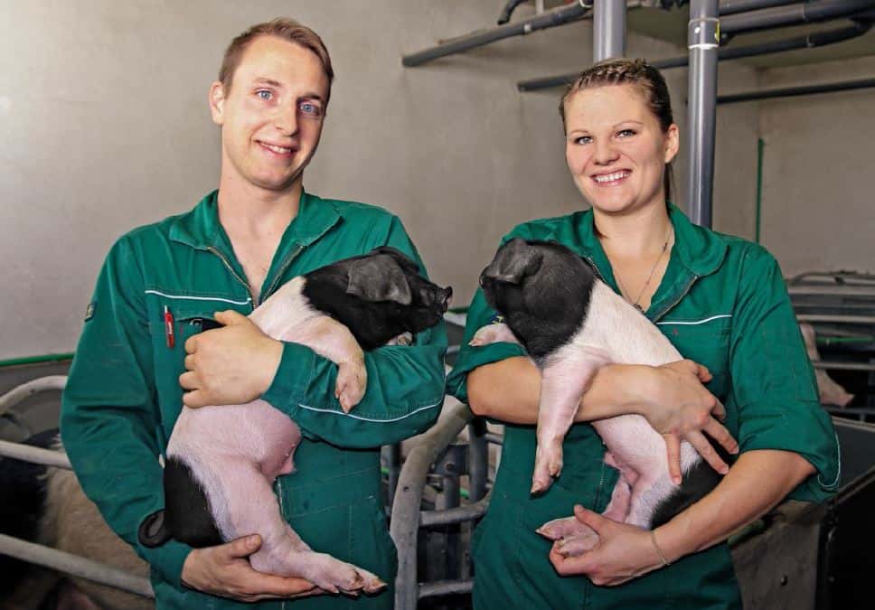 Edelschweine und Exoten im Mix | top agrar