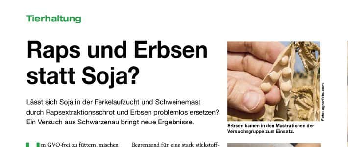 Raps und Erbsen statt Soja? | top agrar