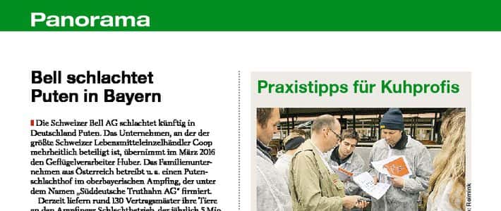 Chia-Ernte im Ländle | top agrar