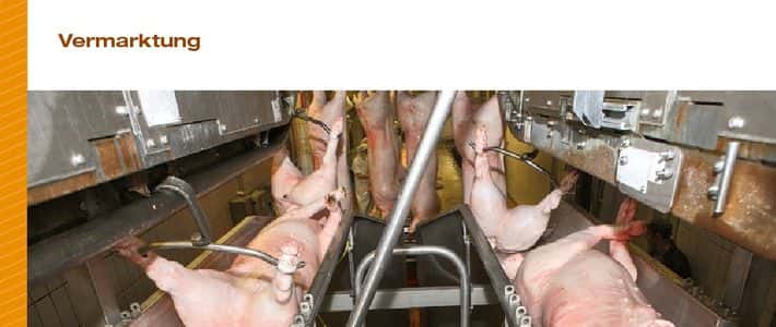 AutoFOM 3: Jetzt noch genauer sortieren! | top agrar