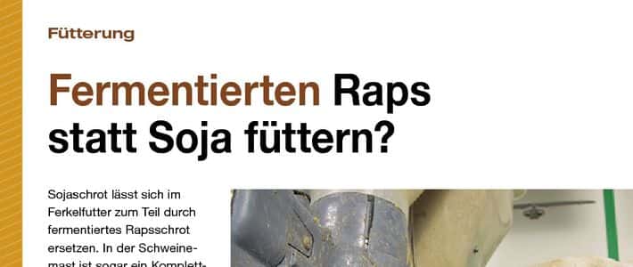 Mast: Raps kann Soja komplett ersetzen | top agrar