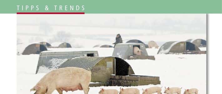 Westfleisch startet ­visuelle Fleischbeschau | top agrar