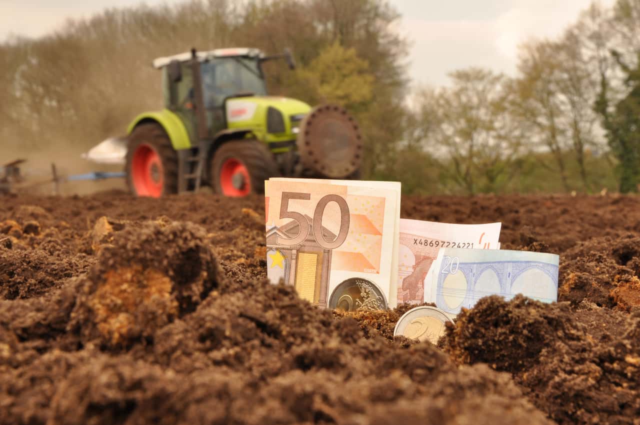 Interview mit Bodenmarkt-Experten über Pachtpreise und Flächenknappheit ...