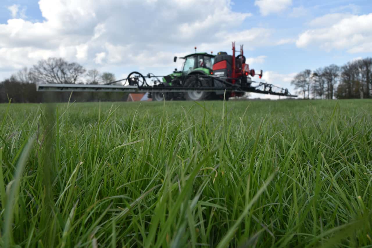 Sollten Landwirte die Weidelgrasvermehrung einstellen, da Resistenzen ...