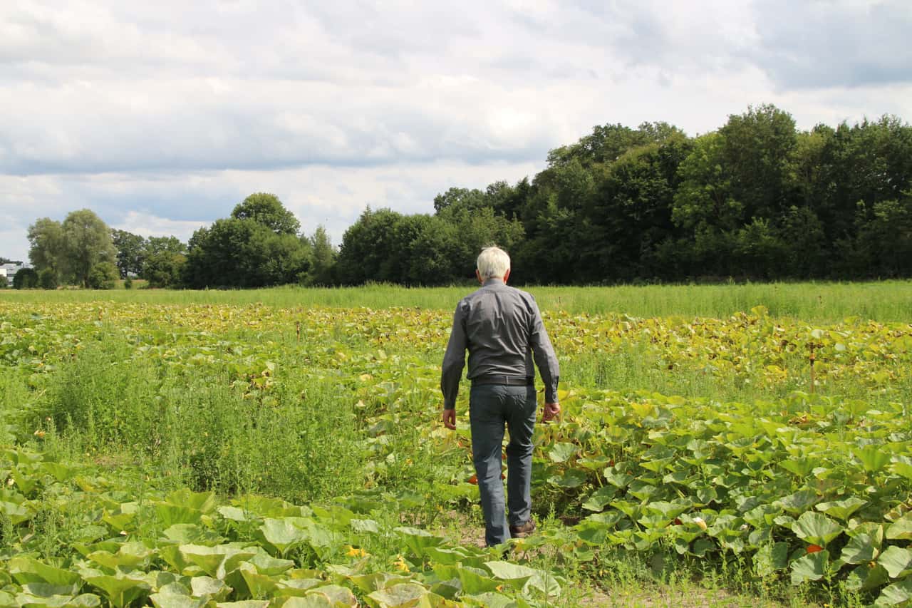 Prof. Lotze-Campen glaubt an Kosteneinsparung durch Agrartransformation ...