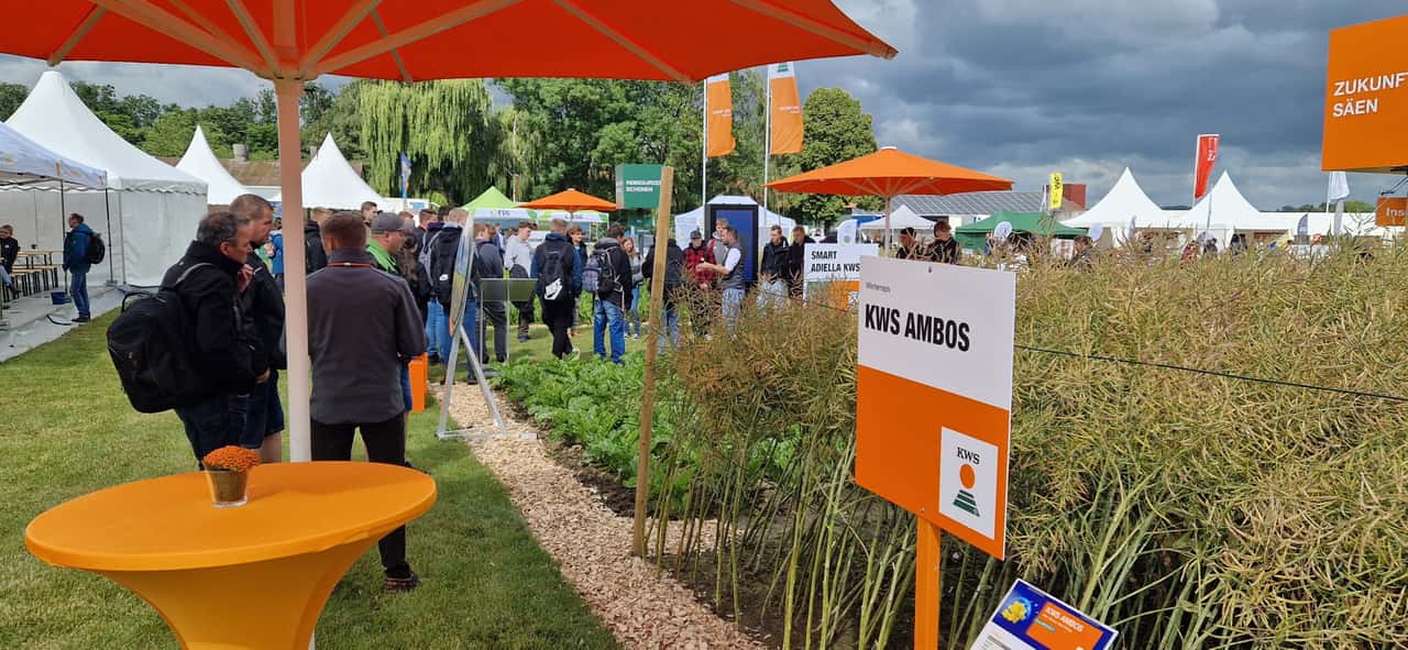 Das sind die zahlreichen Neuheiten von KWS | top agrar