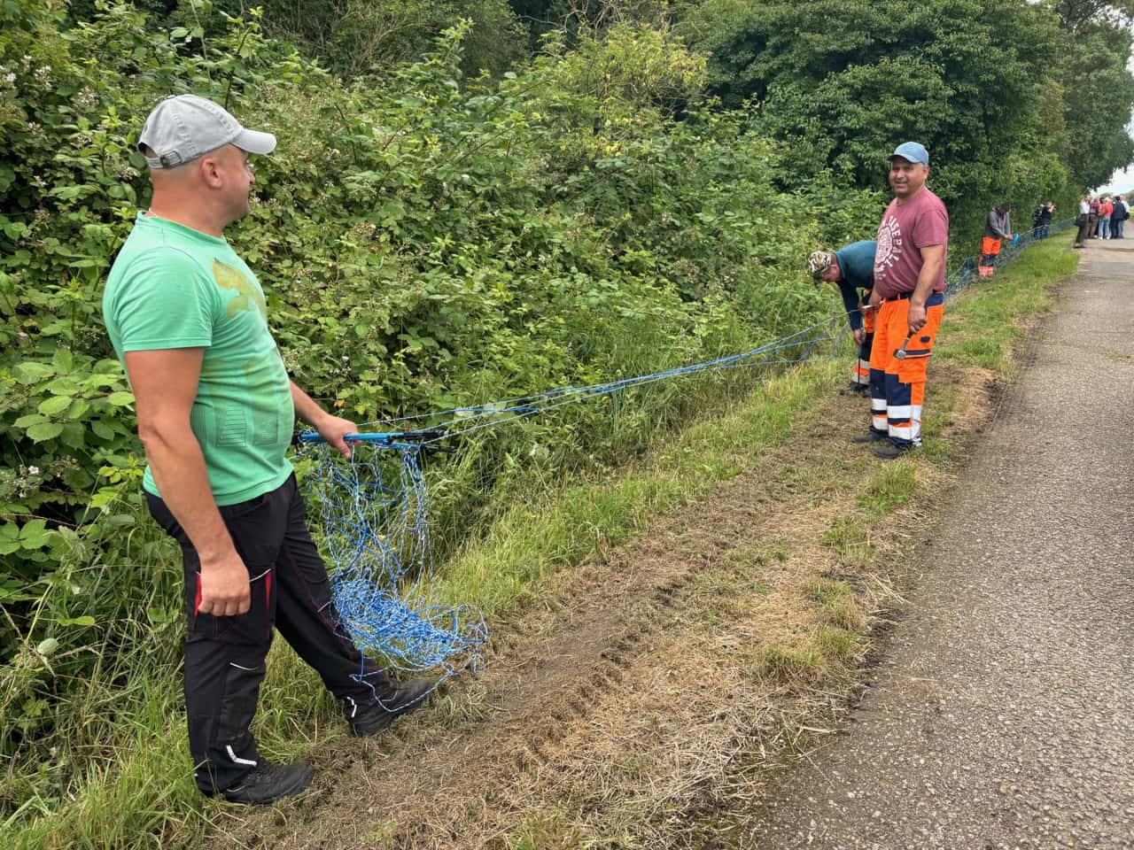 Afrikanische Schweinepest: Hessen baut einen Zaun gegen weitere Ausbreitung | top agrar