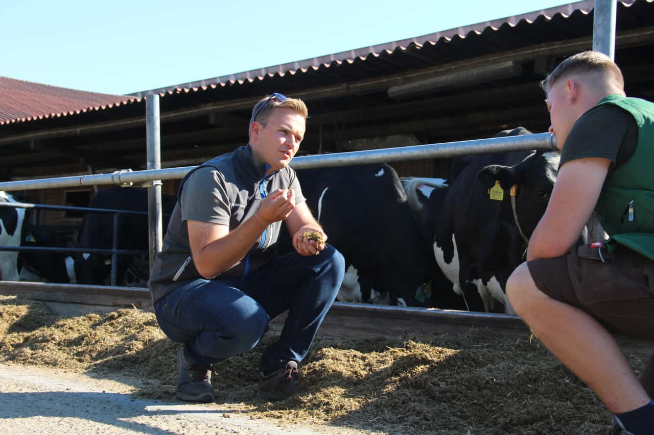 Ausbildungsstart in der Landwirtschaft: Was Azubis und Ausbilder wissen ...