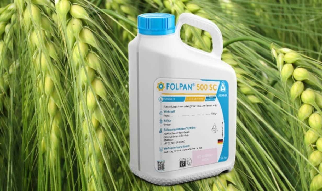 Wirkstoffe Folpet und Captan bleiben lange zugelassen | top agrar