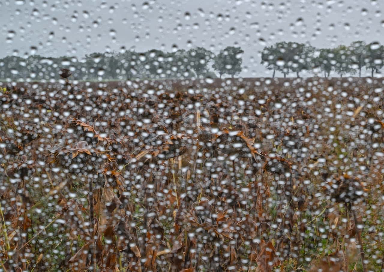 Starke Hochwasser im Südosten drohen – "Könnte schlimmer werden als ...