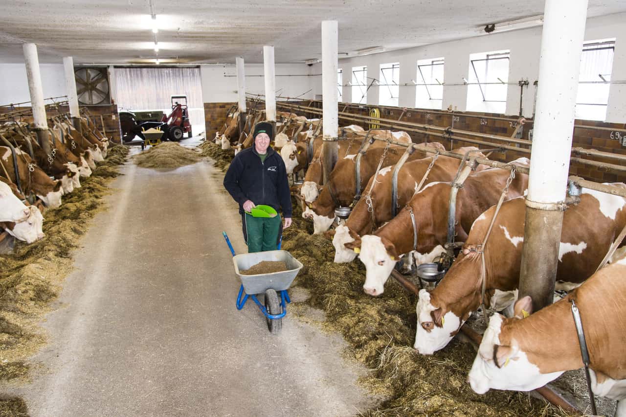 Felßner gegen Anbindeverbot, Artikel 148 GMO und höhere Mehrwertsteuer ...