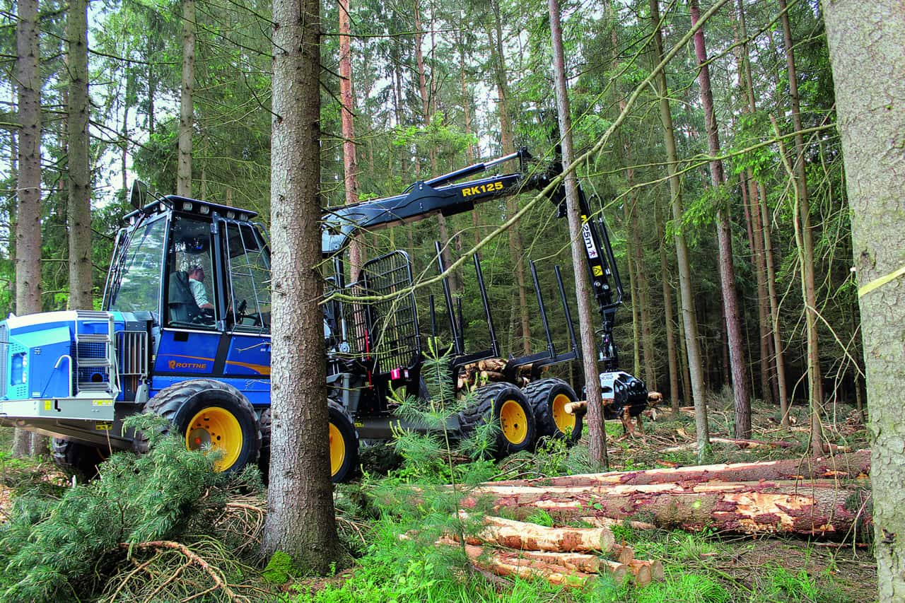 Nadelholz knapp und Holzpreise steigen | top agrar