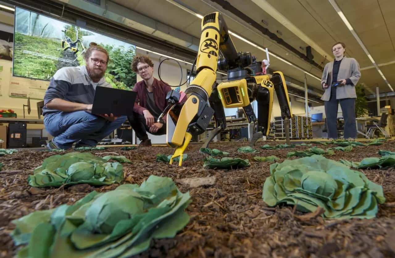 Start-up will intelligentem Landwirtschaftsroboter Polybot auf den ...