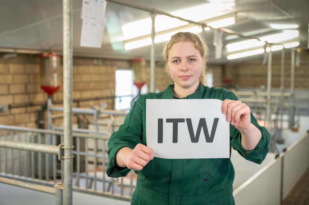 Fleischwirtschaft erhöht ITW-Boni – Kritik am staatlicher ...