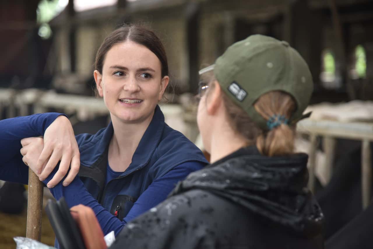 Stimmung in der Landwirtschaft: „Besser, aber noch nicht gut“ | top agrar