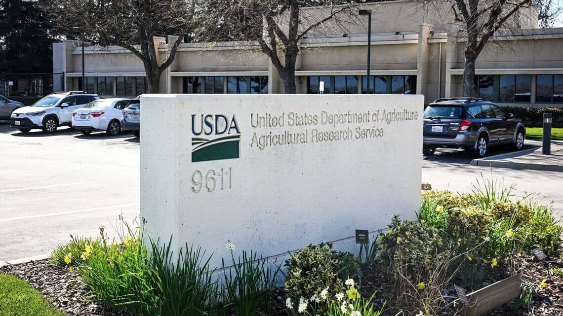 USDA WASDE-Report erwartet mehr Weizen | top agrar