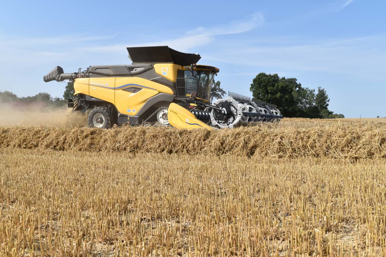 Bongo nari sex this woman possesses an amazing seductive