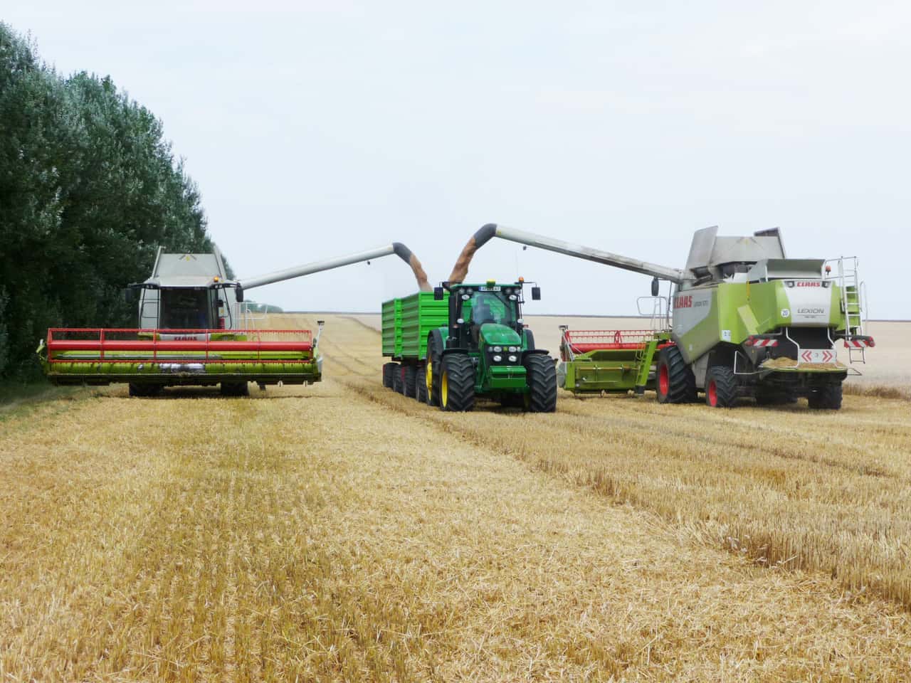 Ernte-Check 2025: So steigern Landwirte ihren Ertrag mit einfachen ...
