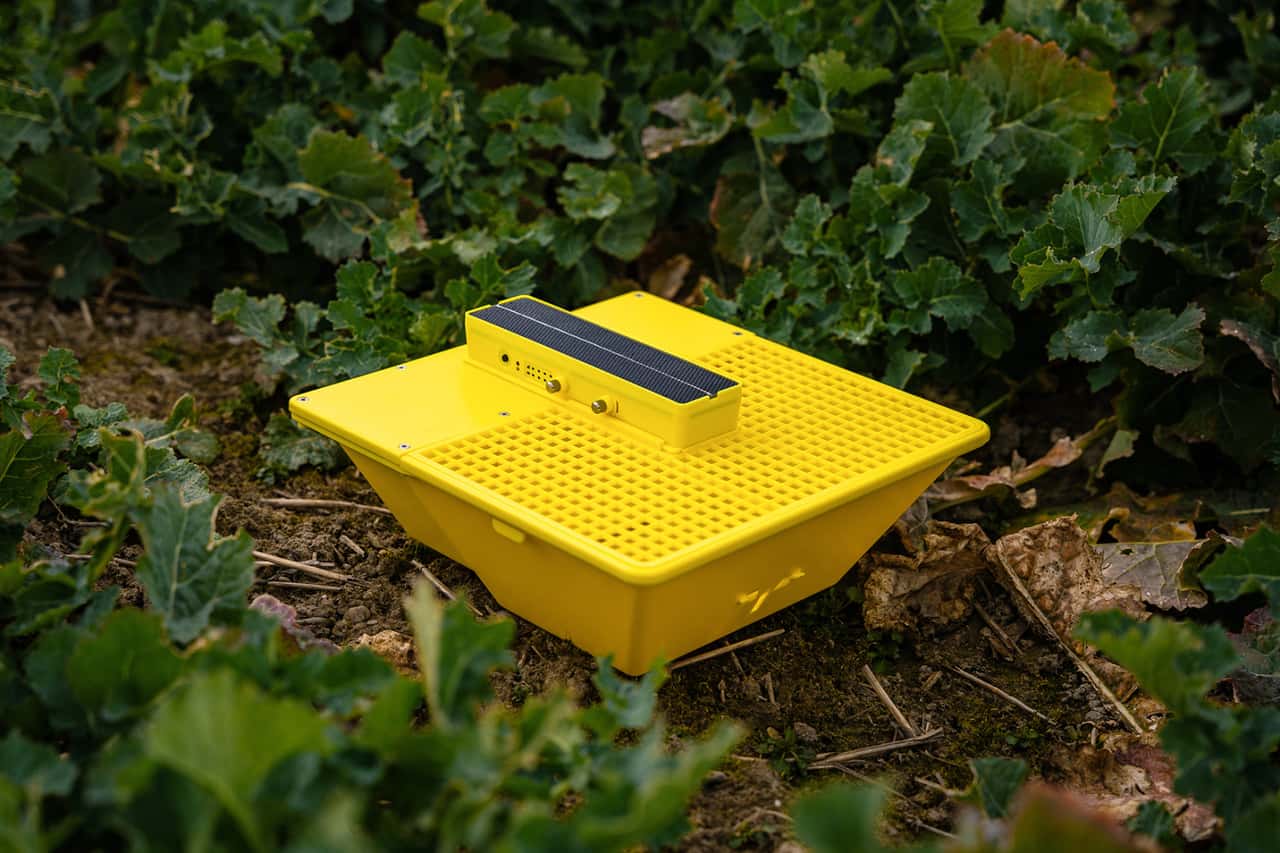 Bayer: Neue Generation der Magic Trap 2 | top agrar