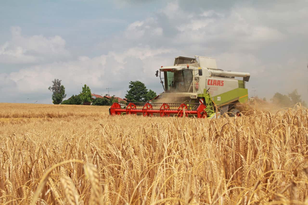 Welches Anbauverfahren für Braugerste? | top agrar