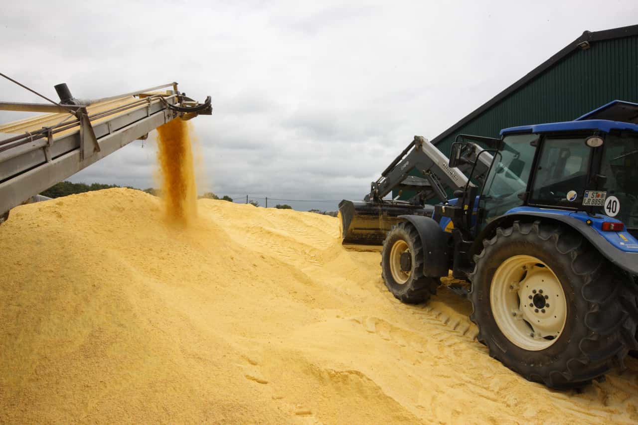 10 Tipps: Wie Landwirte Corn-Cob-Mix optimal konservieren | top agrar