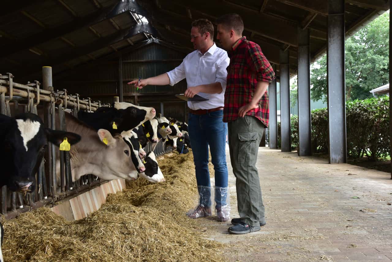 Methanemissionen: Landwirte aus Dänemark vermuten Futterzusatz Bovaer ...