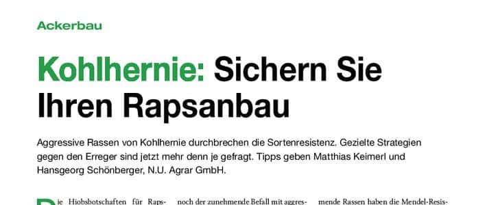 Kohlhernie: Sichern Sie Ihren Rapsanbau | top agrar
