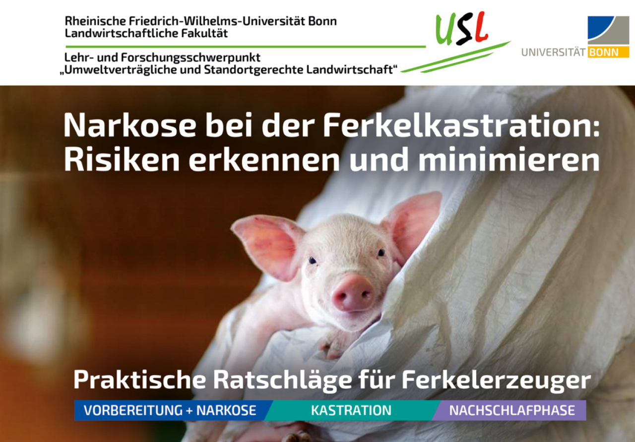 Praxistipps für die Injektionsnarkose | top agrar