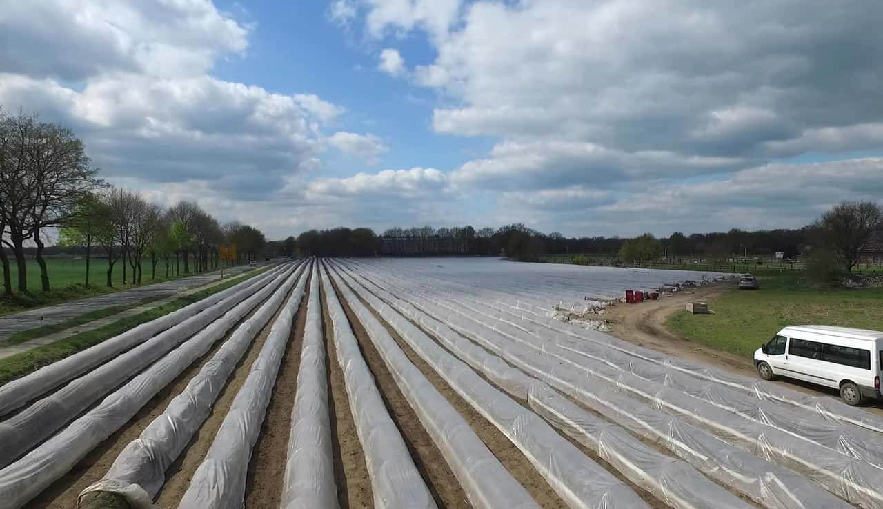 SVLFG gibt Tipps zur Saisonarbeit während der Pandemie | top agrar