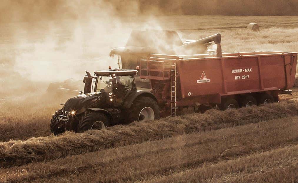 Sichern Sie sich attraktive Preise für Weizen, Gerste und Co. | top agrar