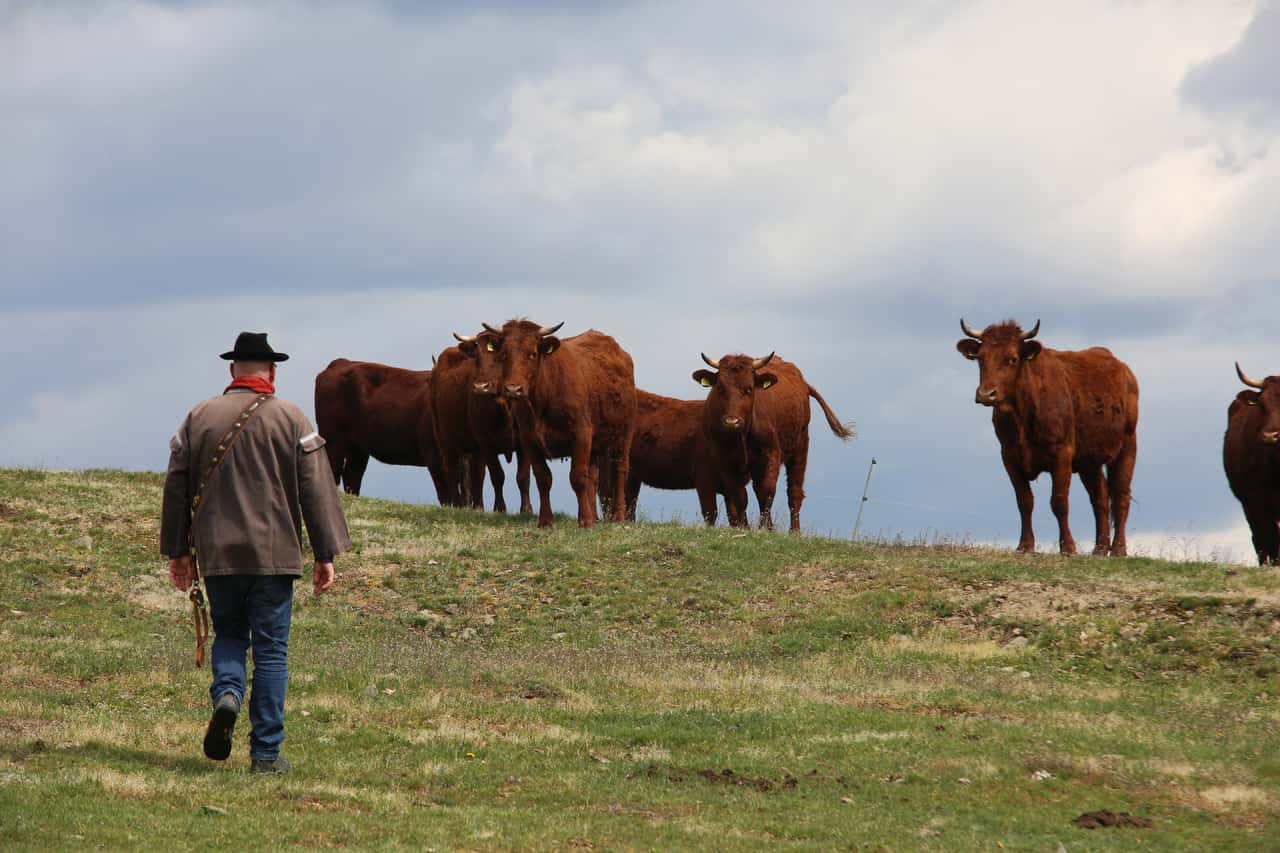 Biobauern drohen Verlierer der EU-Agrarreform 2023 zu werden | top agrar
