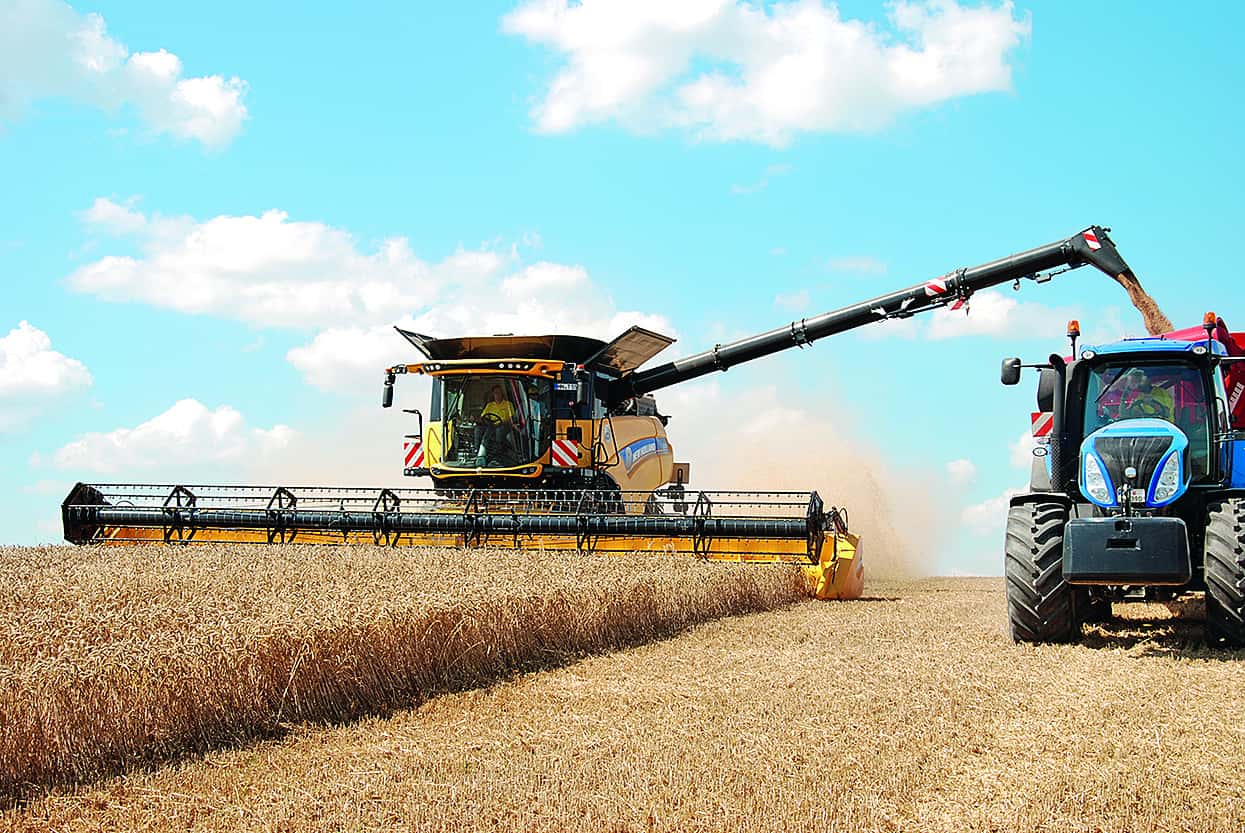 Getreide, Raps & Dünger: Fallen jetzt die Preise? | top agrar