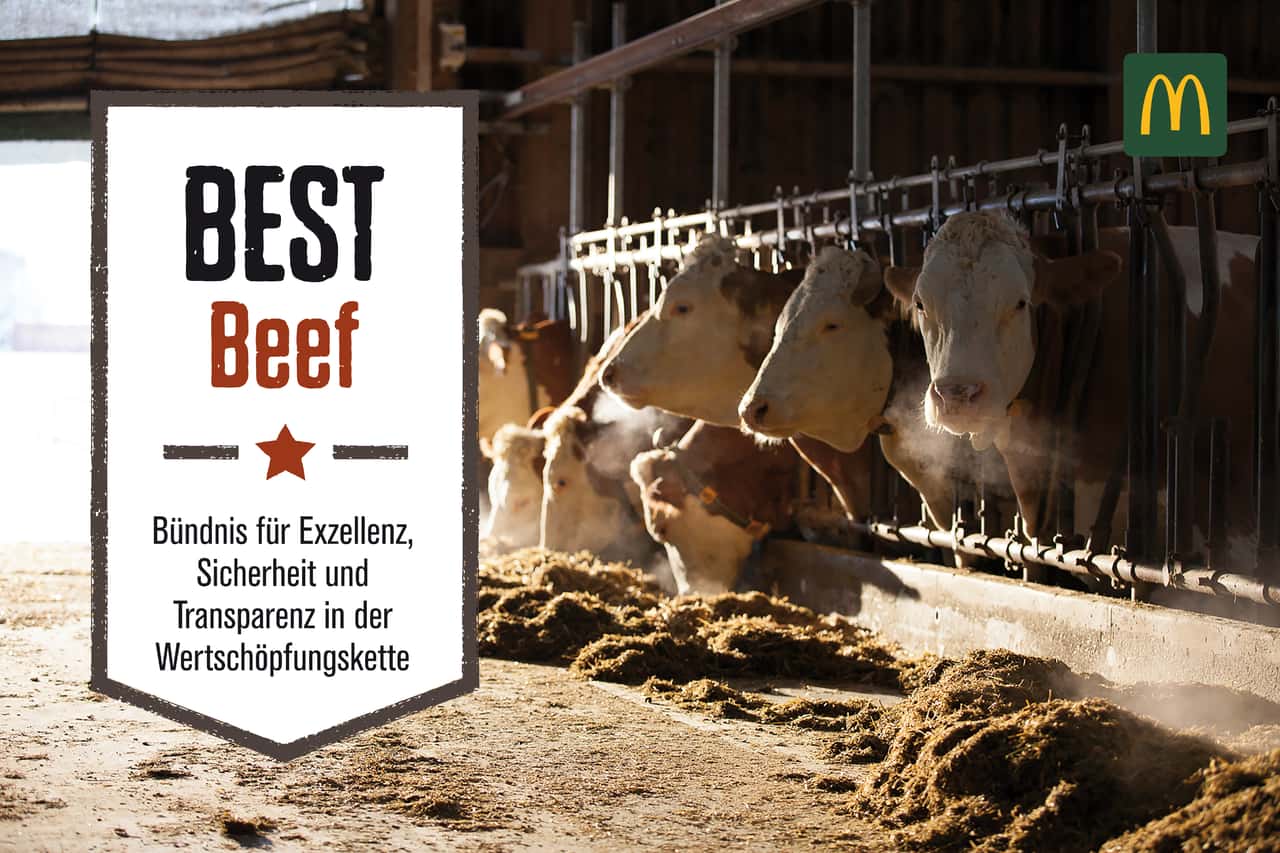 BEST Beef-Programm: Das gilt für QM+/QM++ Betriebe | top agrar