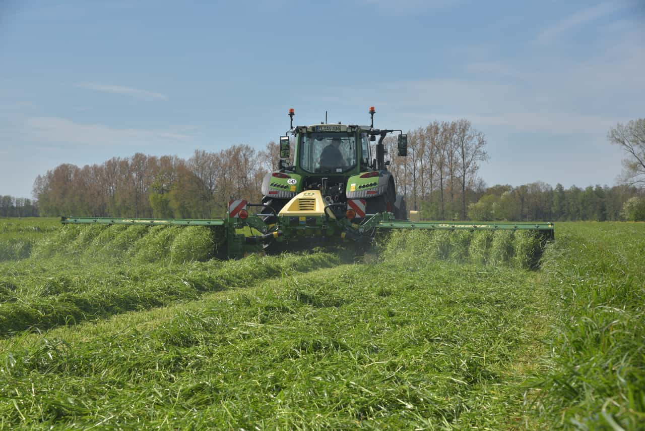 Landwirten drohen hohe Strafen, wenn sie ein Rehkitz trotz ...