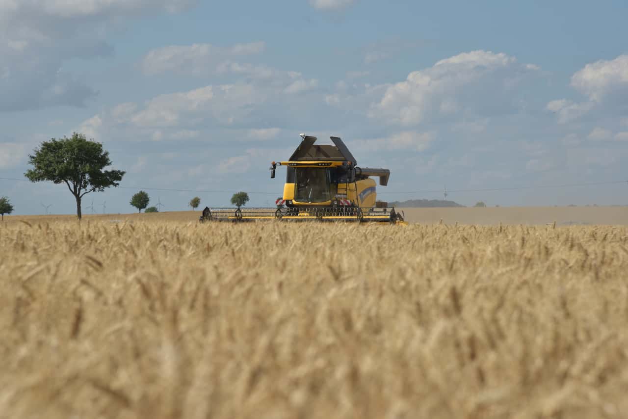 Webinar: So entwickeln sich die Getreide-, Raps- und Düngepreise weiter ...