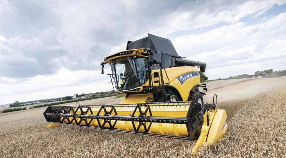 Getreide und Raps auf Richtungssuche - Erzeuger und Handel warten ...