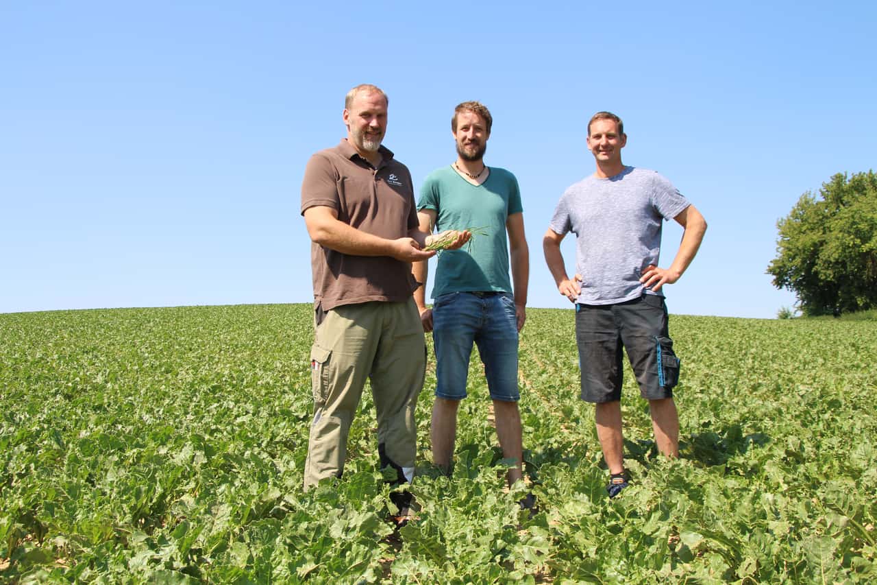 Landwirte berichten: Wenn Weidelgras zur Plage wird | top agrar online