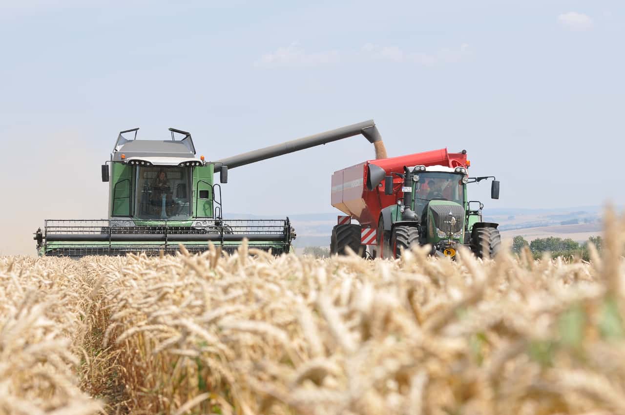 Weizen: Die Topsorten für den Süden | top agrar online