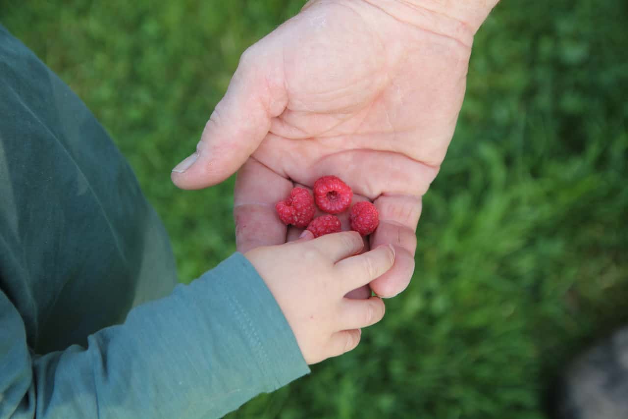 Kindererziehung auf dem Bauernhof: Diskussionspunkte für Eltern und ...
