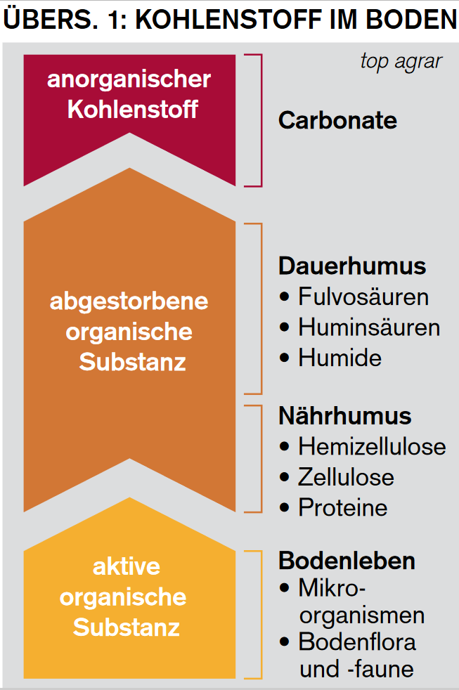 Ratgeber: Alles was Landwirte zum Humus im Boden wissen müssen