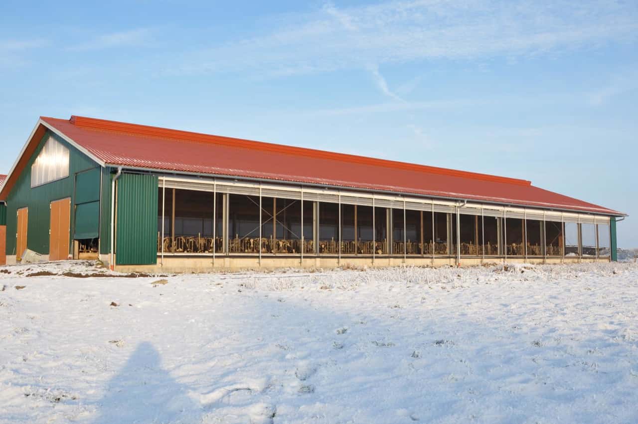 Tipps für Rinderhalter für Schnee und Frost: Gut vorbereitet durch den ...