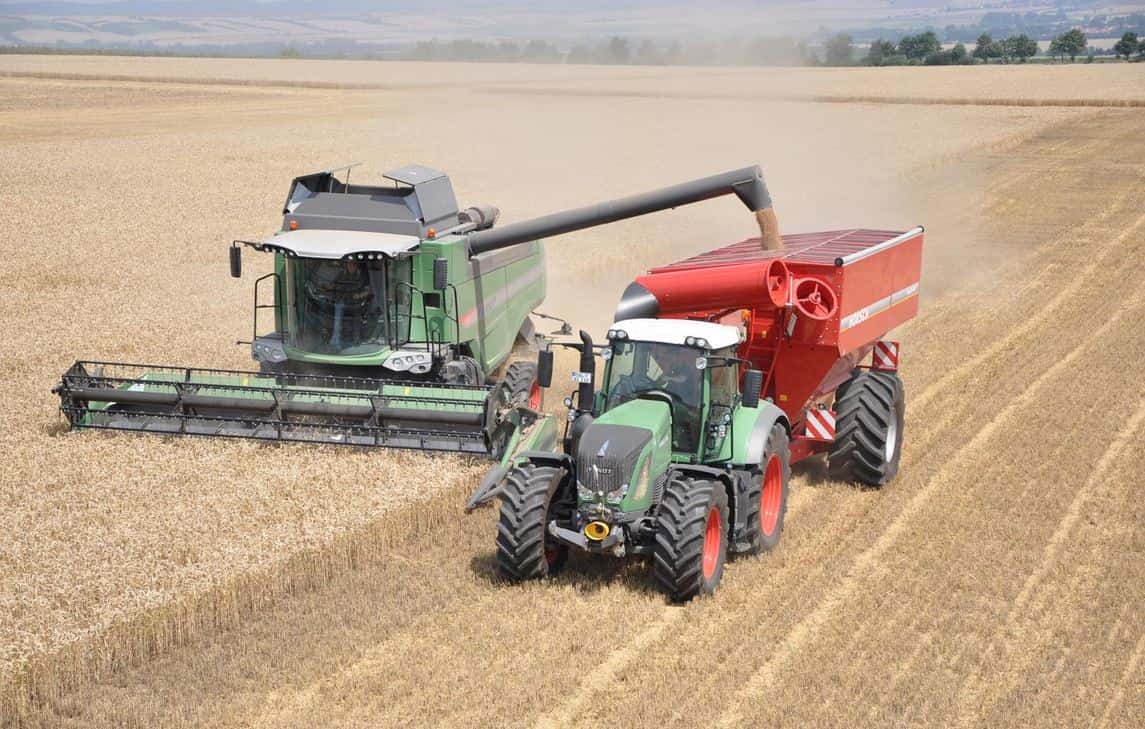 Preise für Weizen und Raps weiter unter Druck | top agrar